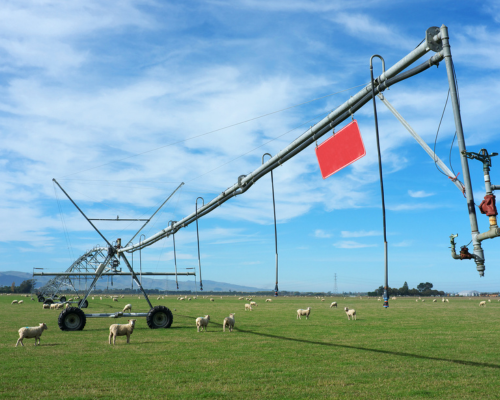 Canterbury Clinics – Veterinaryfirst