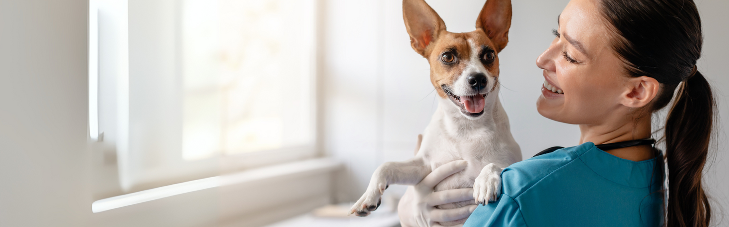 New Graduates – Veterinaryfirst