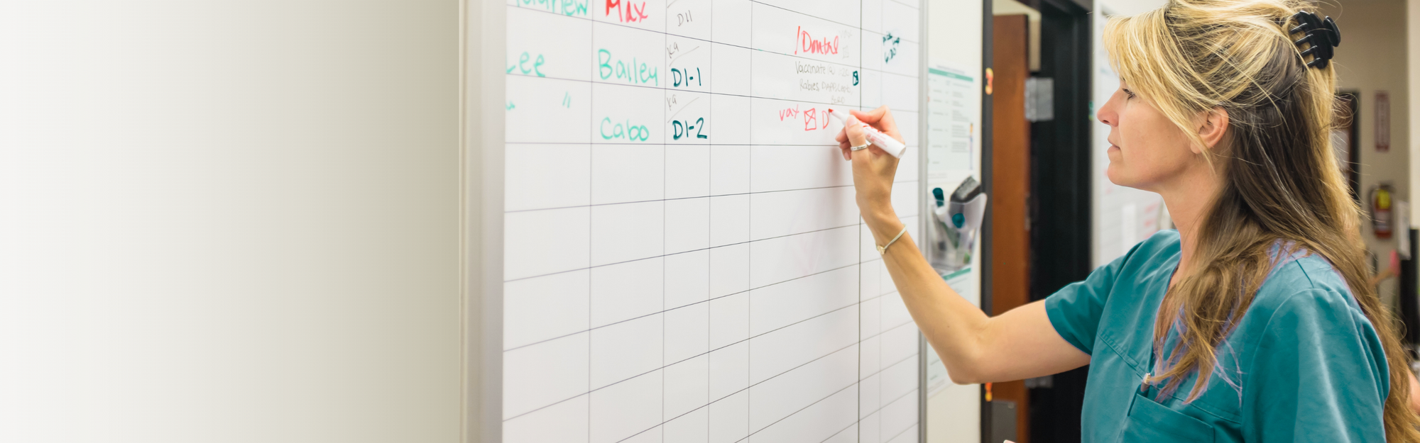 Gisborne Clinic – Veterinaryfirst