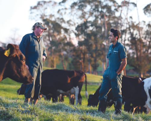 International vets – Veterinaryfirst